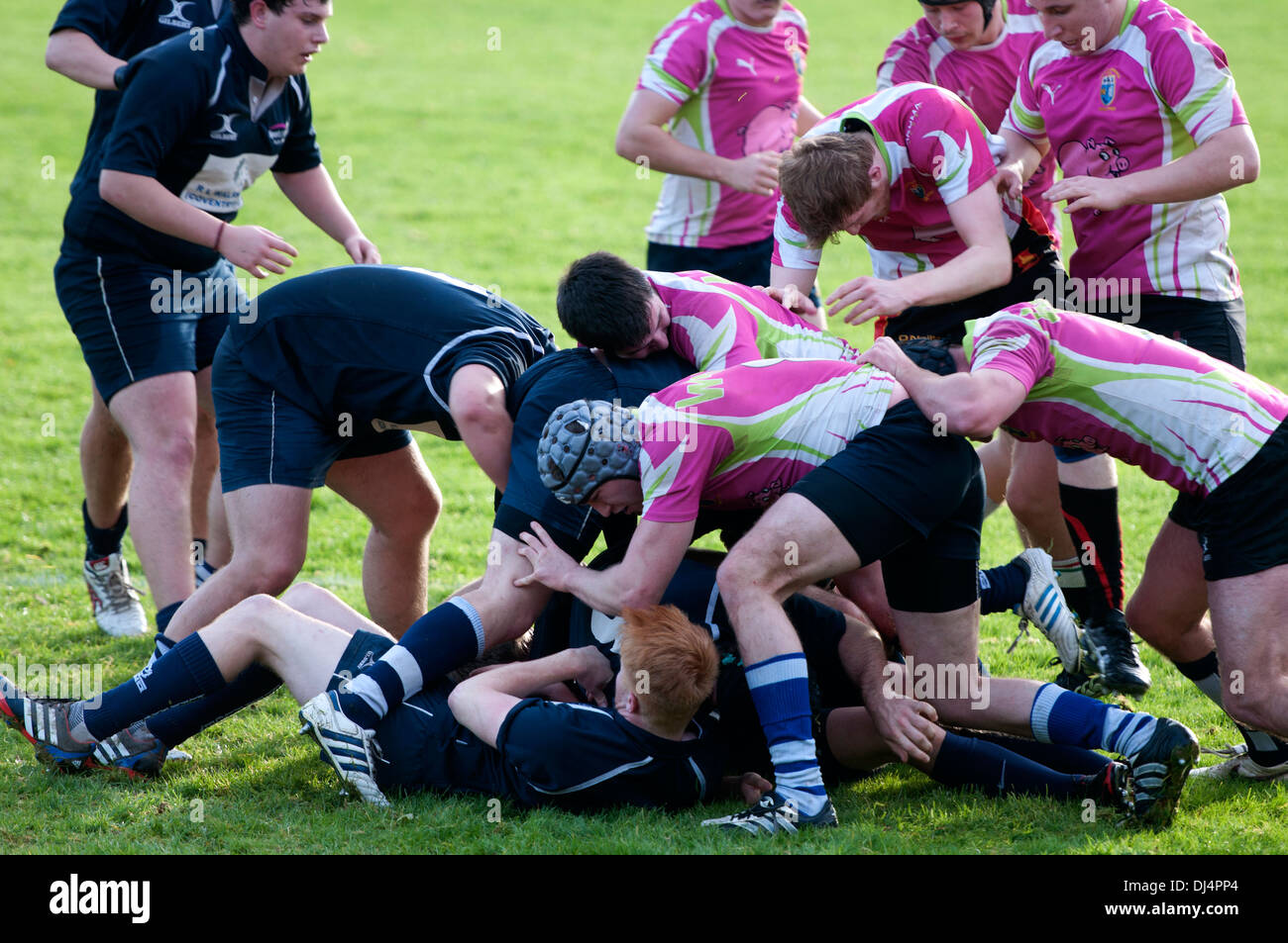 University sport, men`s Rugby Union Stock Photo - Alamy